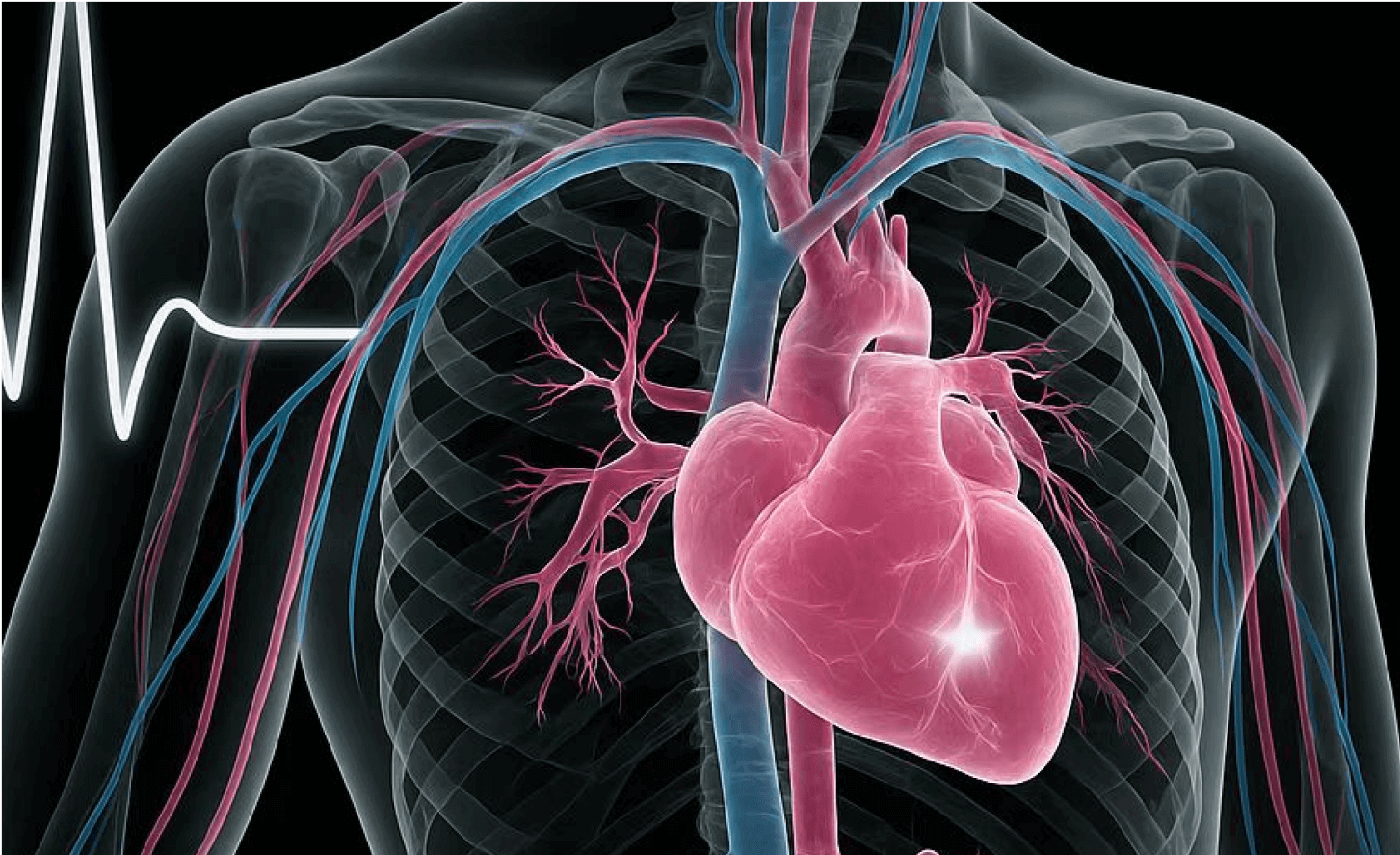 Wantai BioPharm | Website